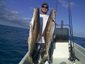 Sebastian Inlet Florida Fishing - Offshore and The Indain River Lagoon
