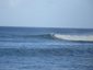 Lay Day for Roxy, O'Neill at Sunset