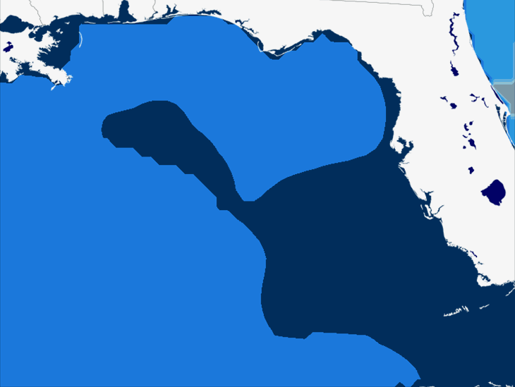 Destin Surf Report and Destin Surf Forecast - Florida Surf Cams