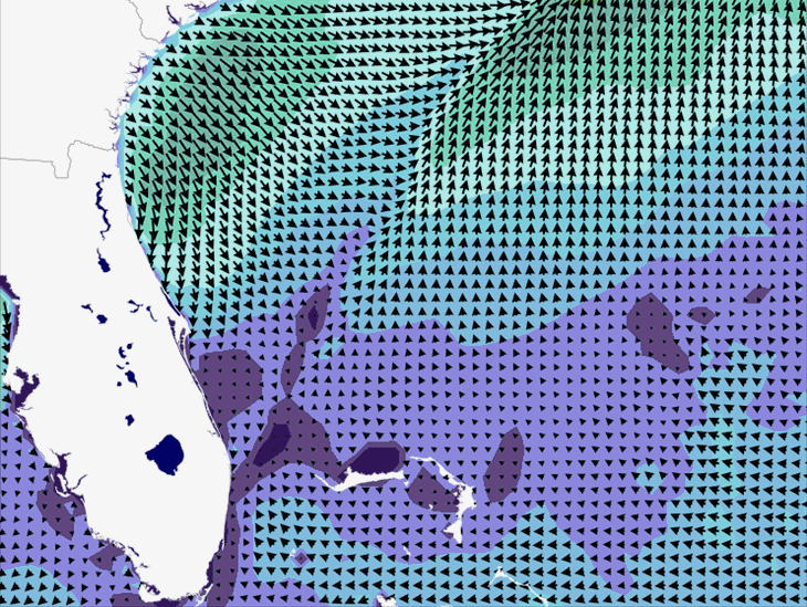 Florida Wind Forecast and Atlantic Wave Model