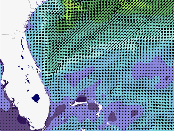 Florida Wind Forecast and Atlantic Wave Model