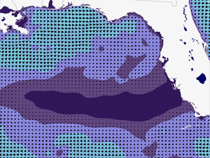 West Florida Wind Forecast and Gulf of Mexico Wave Model